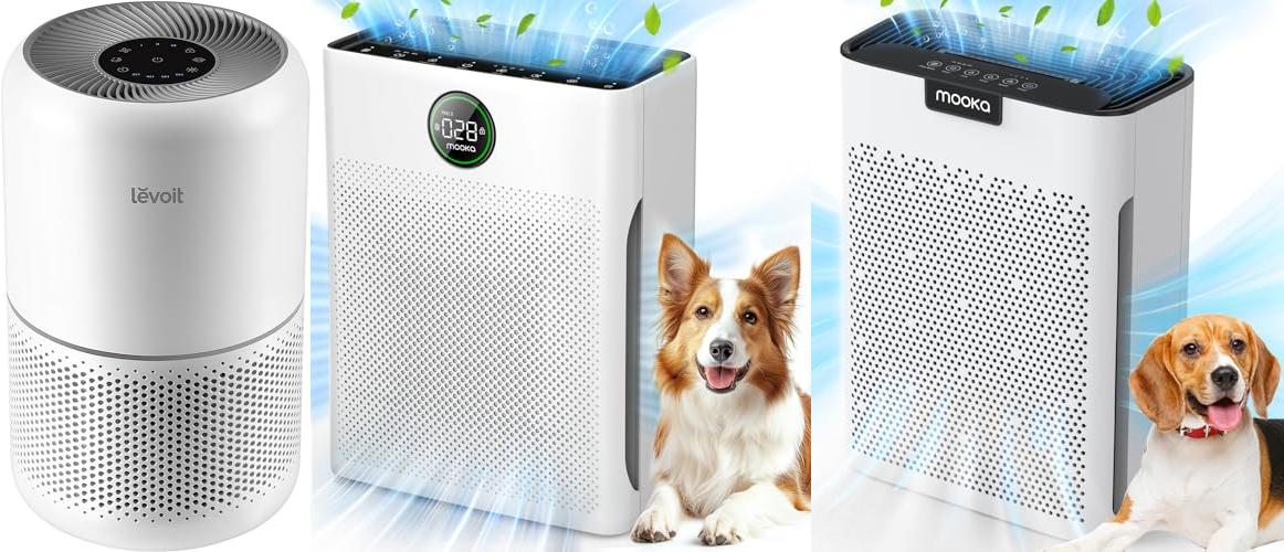 Top 5 Air Filters For Pet Owners: Clean Air, Happy Pets!
