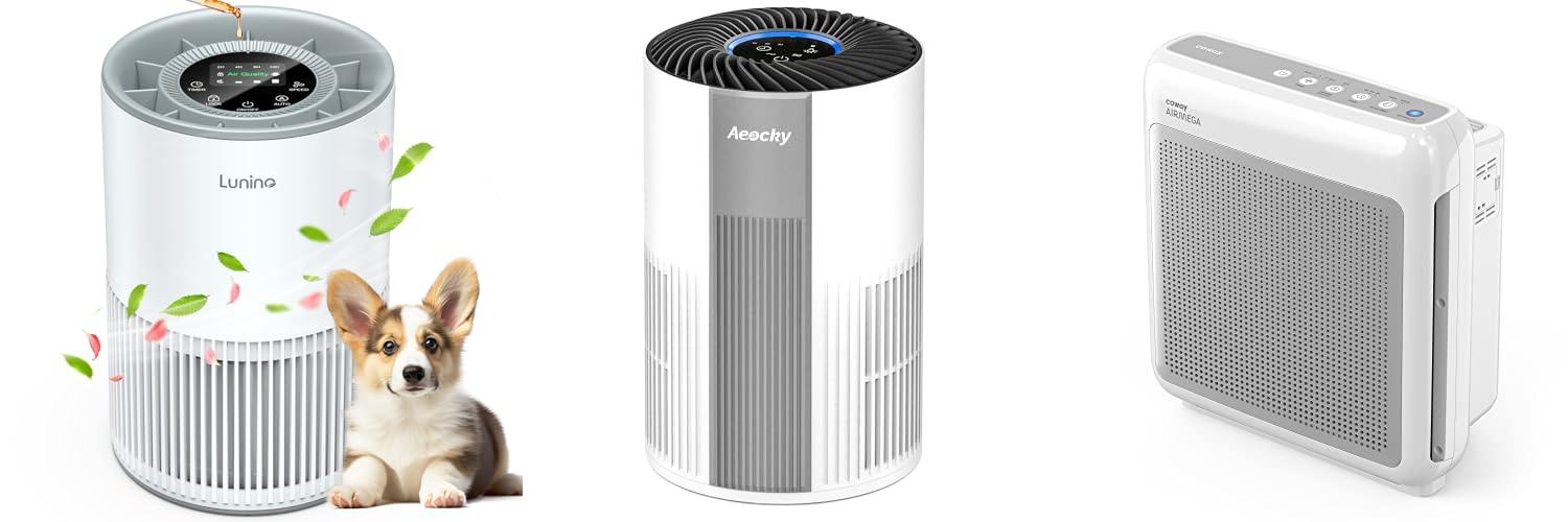 Top 5 Best Ways To Clean An Air Filter: A Cleaning Guide Review